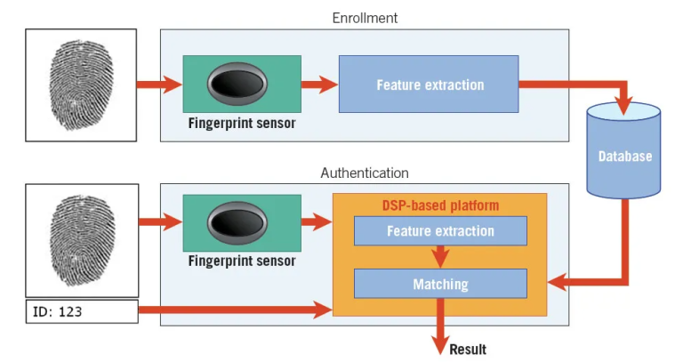 How Do Fingerprint Scanners Work? A Step-by-Step Guide for Biometric ...